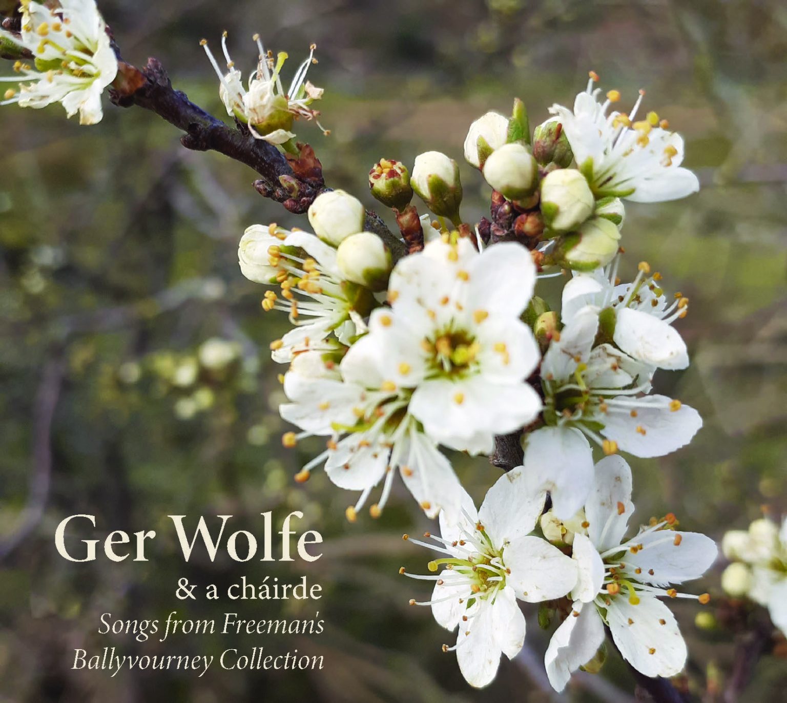 “Songs From Freeman’s Ballyvourney Collection” Album Nua/New record ...